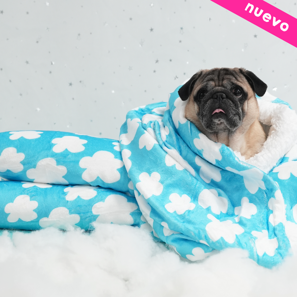 My Pug & Co Accesorios para perros – MyPug&Co