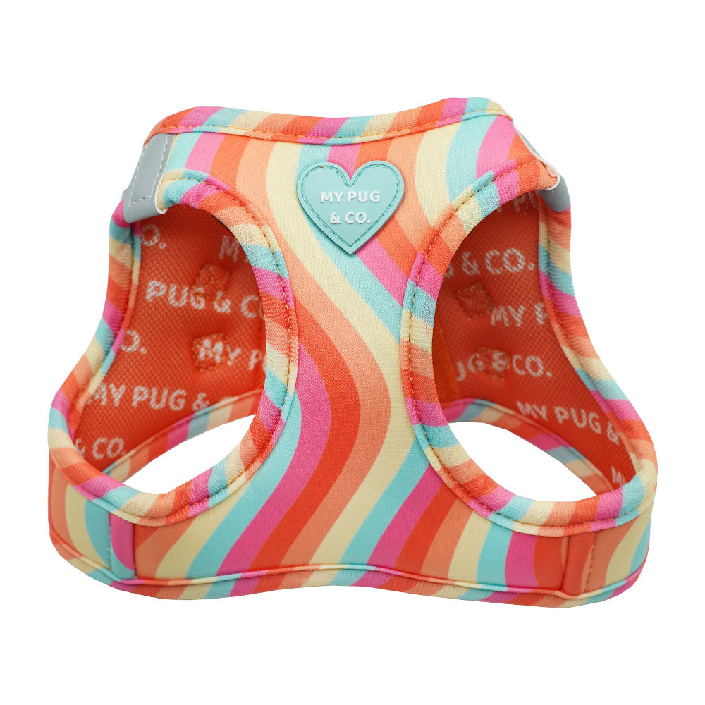 Arnés Body Lollipop – MyPug&Co